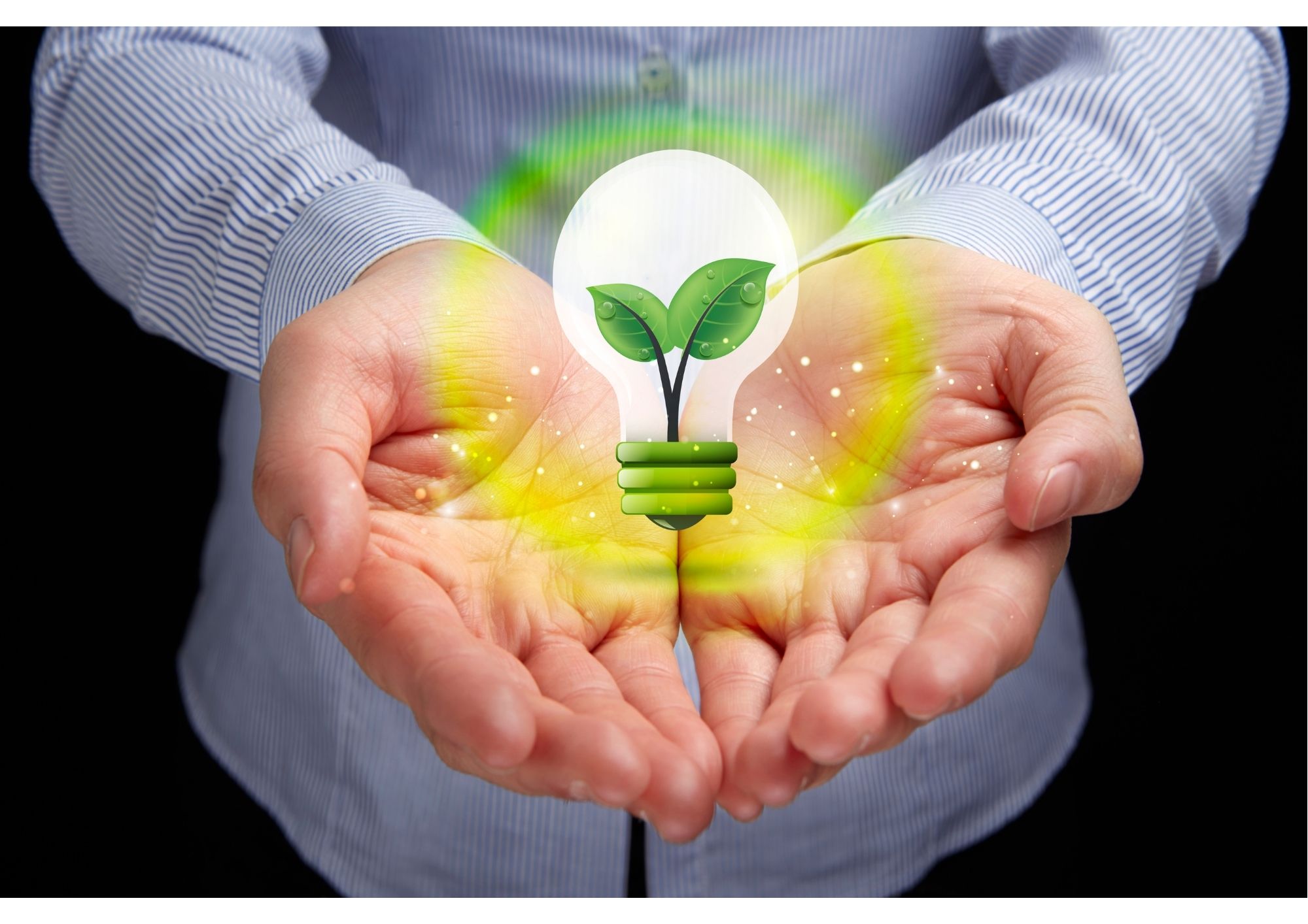 PPS-Environmental LMS